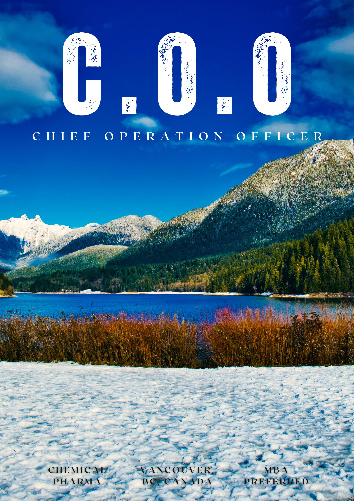 Chief Operation Officer