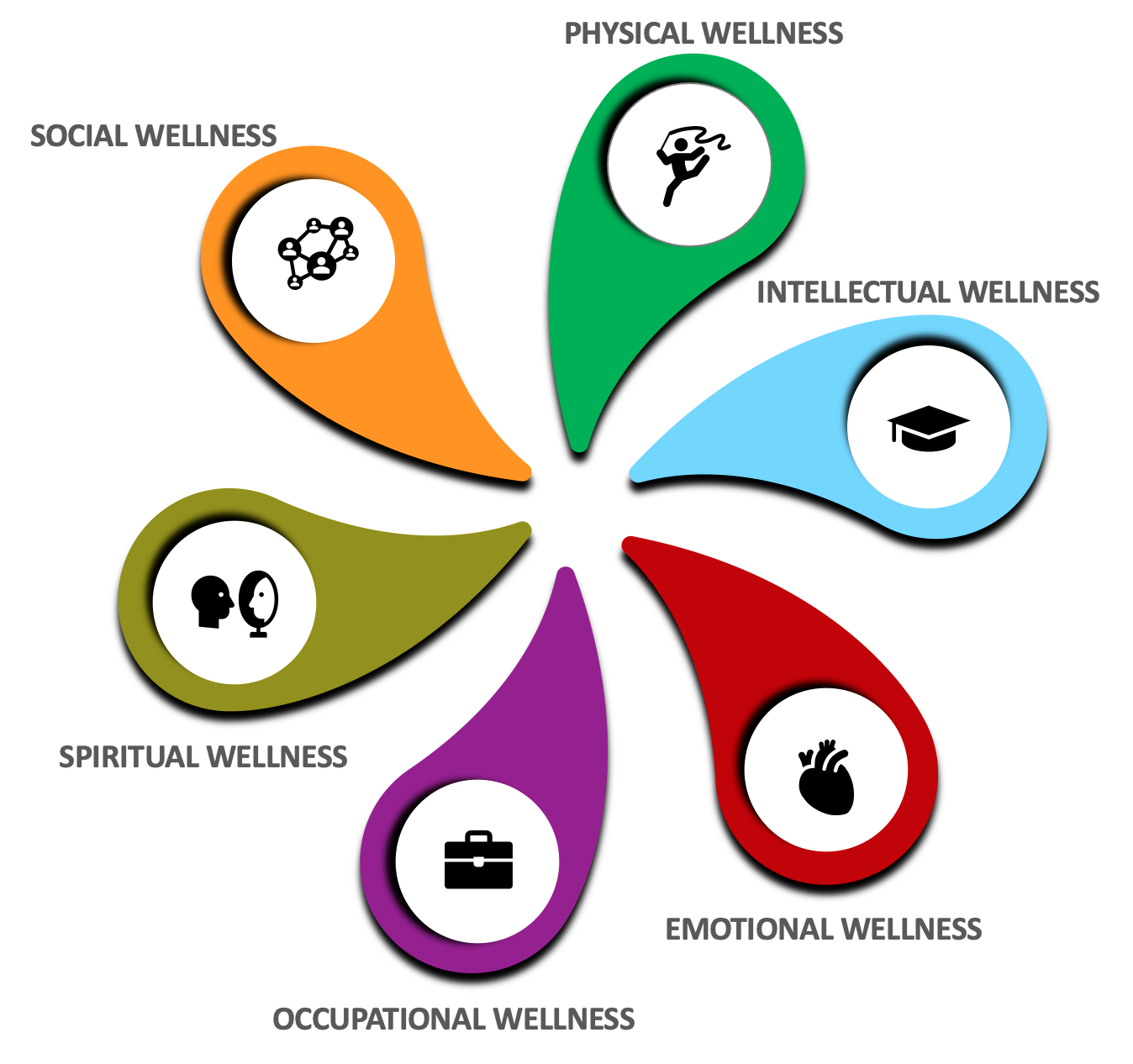 BOD - Wellness360 - Leadership